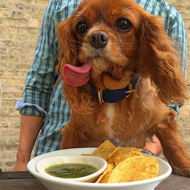 Toast Meets World – 3rdarm.biz